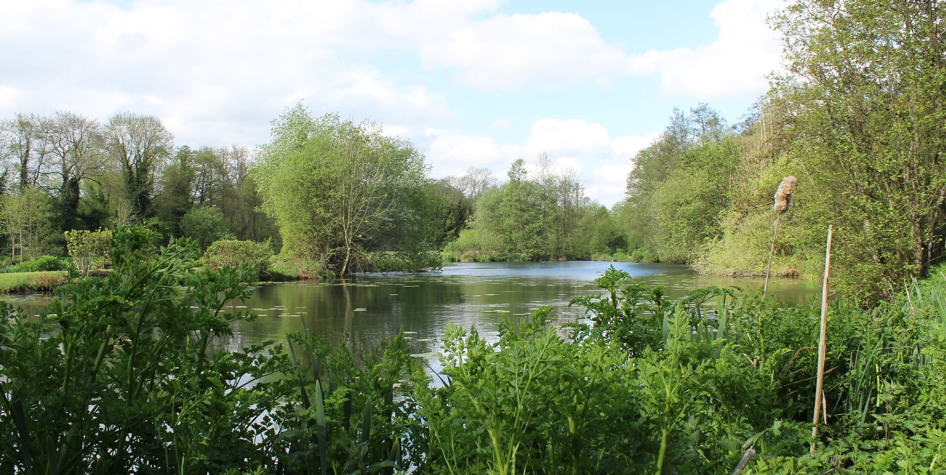 The Lakes at Barn Elms - Barn Elms Fly Fishery
